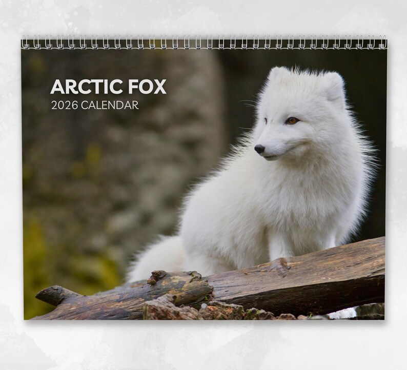 Artic Fox Calendar 2026: Monthly Wall Calendar With Notes, Opens to A3 ...