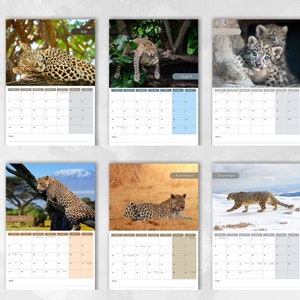Leopard Calendar 2025: Monthly Wall Calendar With Notes, Hanging A4 ...