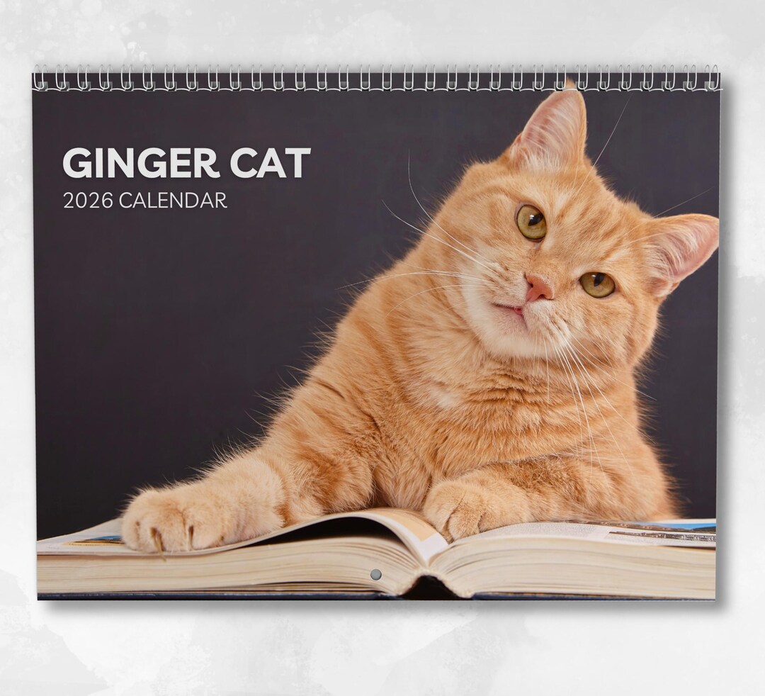 Ginger Cat Calendar 2026: Monthly Wall Calendar With Notes, Opens to A3 ...