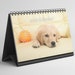 Labrador Desk Calendar 2025-2026: Standing Flip Desktop Calendar With ...