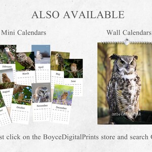 Owl Desk Calendar 2024 Desktop Calendar Owl Calendar 2024-2025 Perfect ...
