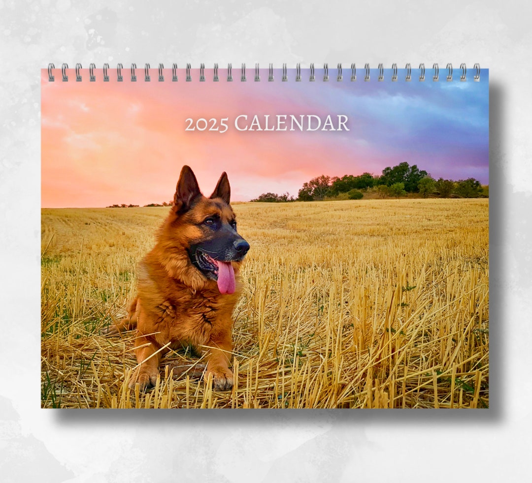 German Shepherd Calendar 2025: Monthly Wall Calendar, A4 Hanging ...