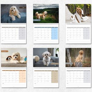 Cavapoo Calendar 2025: Monthly Wall Calendar With Notes, Opens to A3 ...