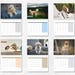Cavapoo Calendar 2025: Monthly Wall Calendar With Notes, Opens to A3 ...
