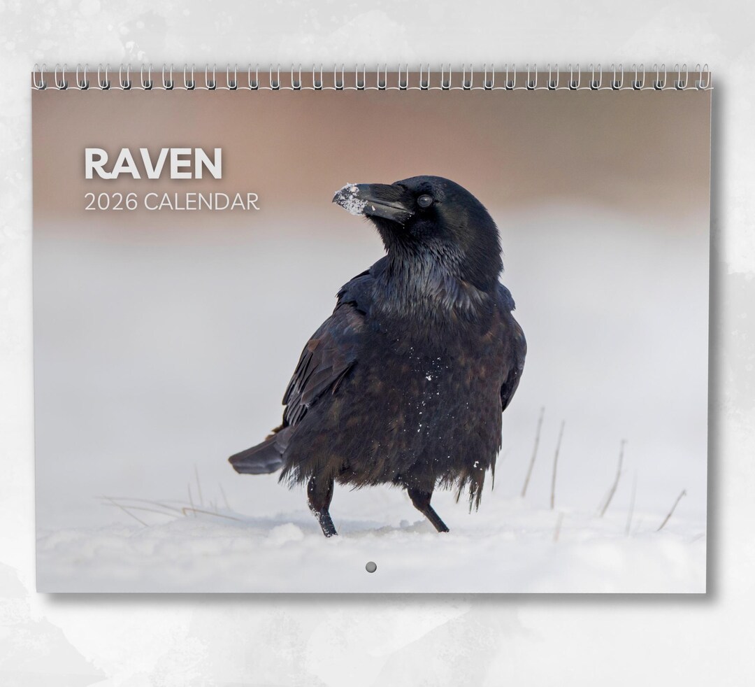 Raven Calendar 2026: Monthly Wall Calendar With Notes, Opens to A3 Size ...