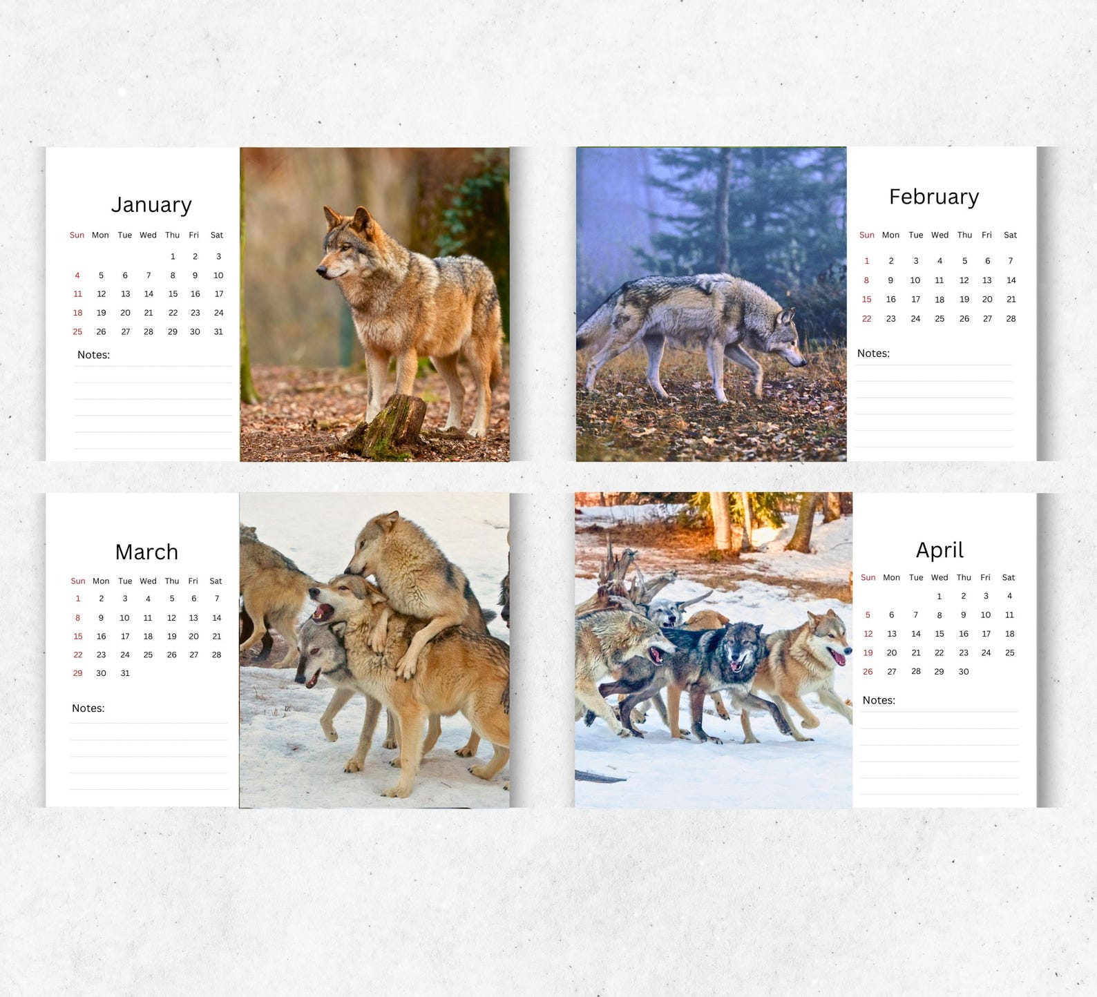 Wolf Desk Calendar 2026-2027: Standing Flip Desktop Calendar With Thick ...