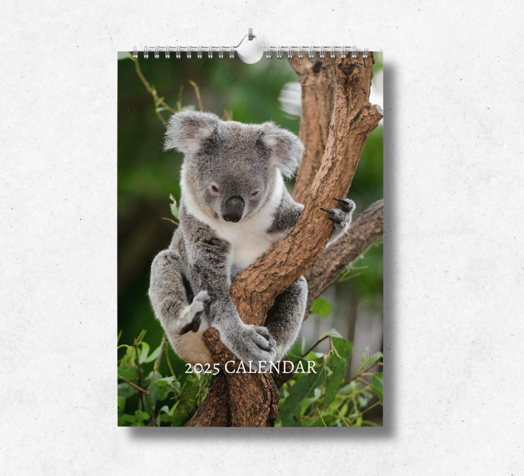 Koala Calendar 2025: Monthly Wall Calendar With Notes, Hanging A4 Size ...
