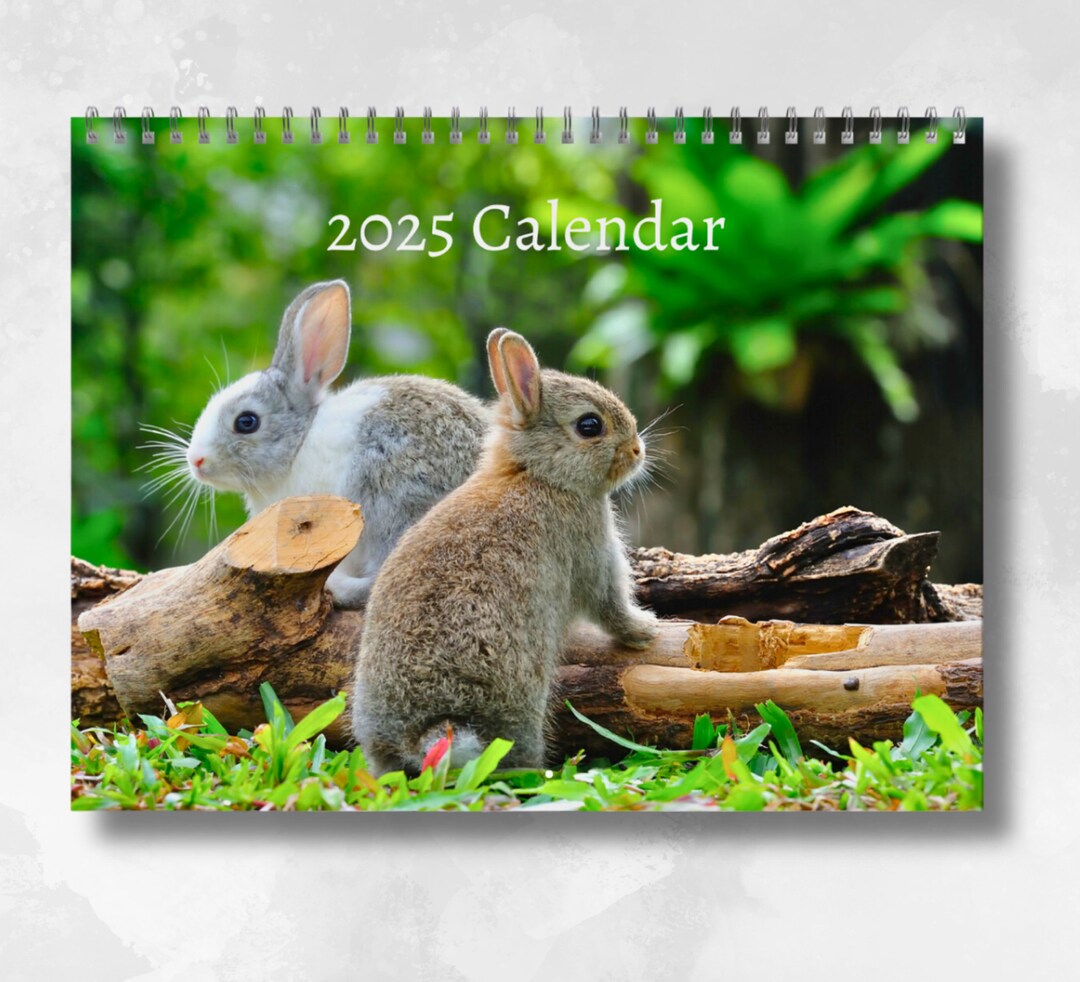 Rabbit Calendar 2025: Monthly Wall Calendar With Notes, Opens to A3 ...