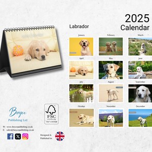 Labrador Desk Calendar 2025-2026: Standing Flip Desktop Calendar With ...