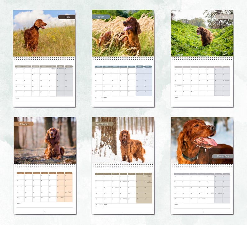 Irish Setter Calendar 2026: Monthly Wall Calendar With Notes, Opens to ...