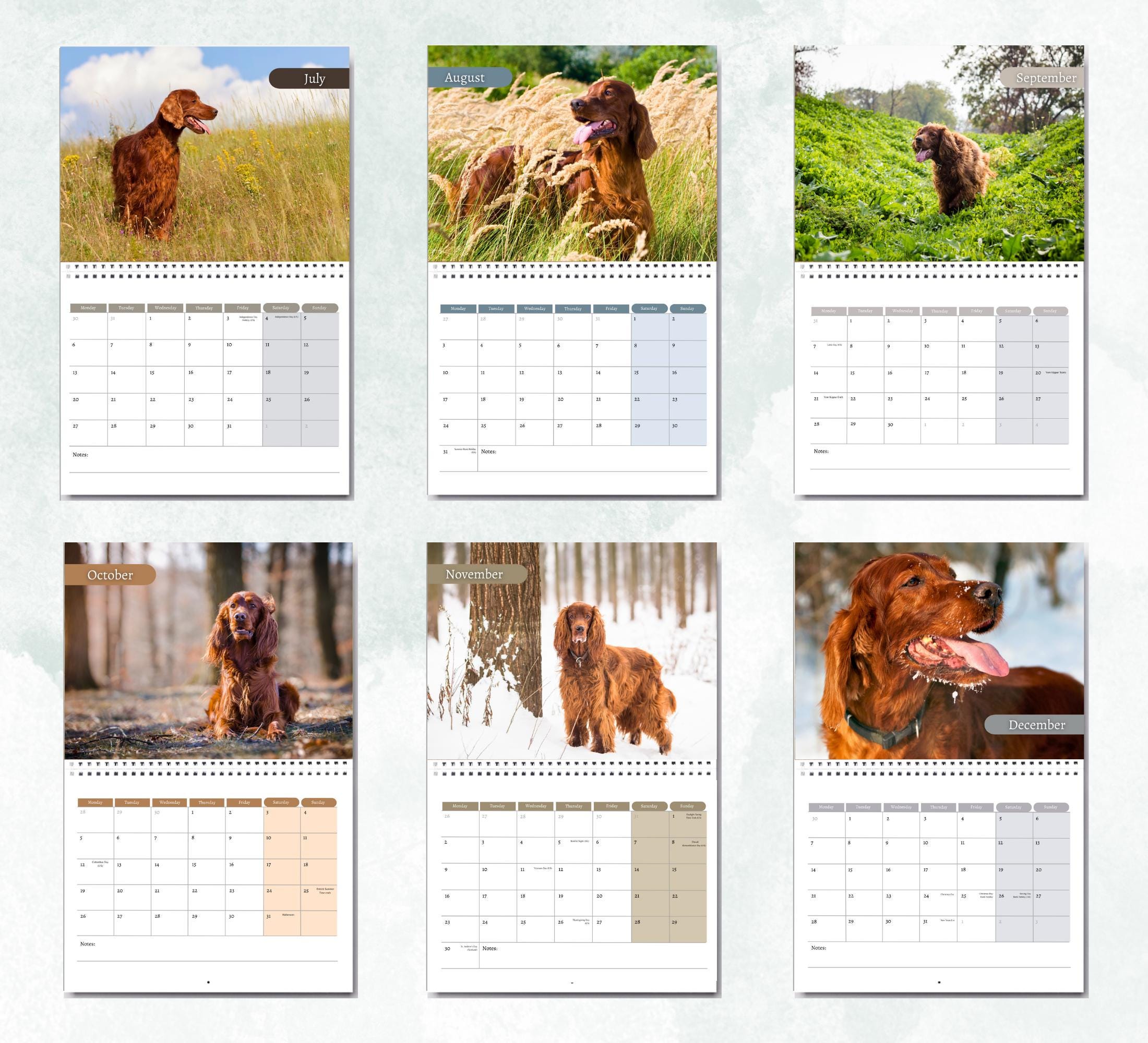 Irish Setter Calendar 2026: Monthly Wall Calendar With Notes, Opens to ...