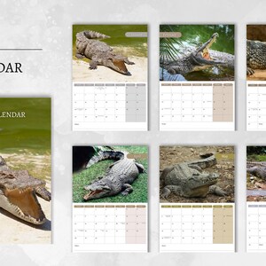 Crocodile Calendar 2025: Monthly Wall Calendar With Notes, Hanging A4 ...