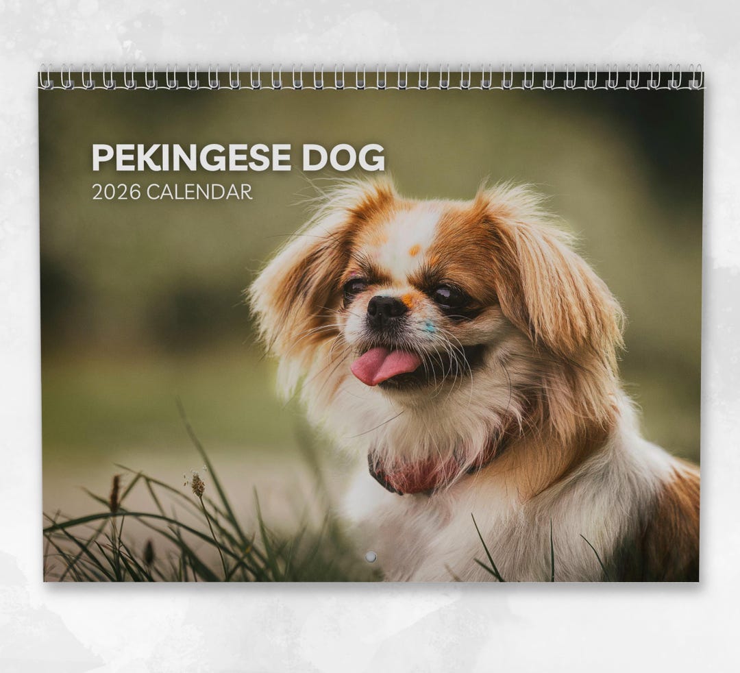 Pekingese Dog Calendar 2026: Monthly Wall Calendar With Notes, Opens to ...