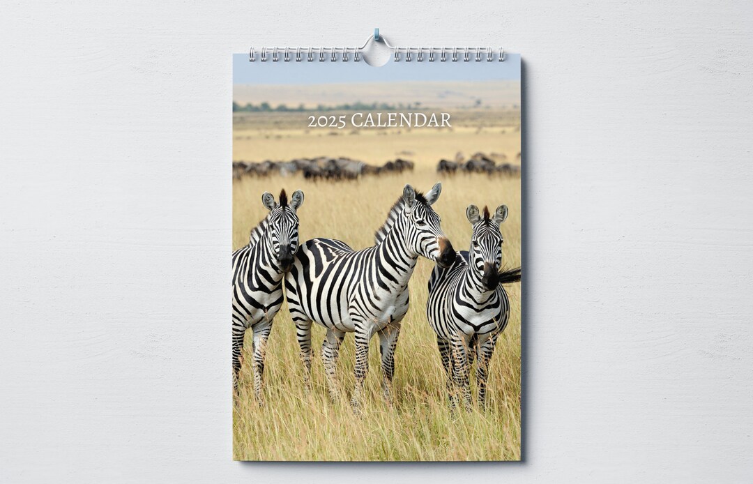 Zebra Calendar 2025: Monthly Wall Calendar With Notes, Hanging A4 Size ...