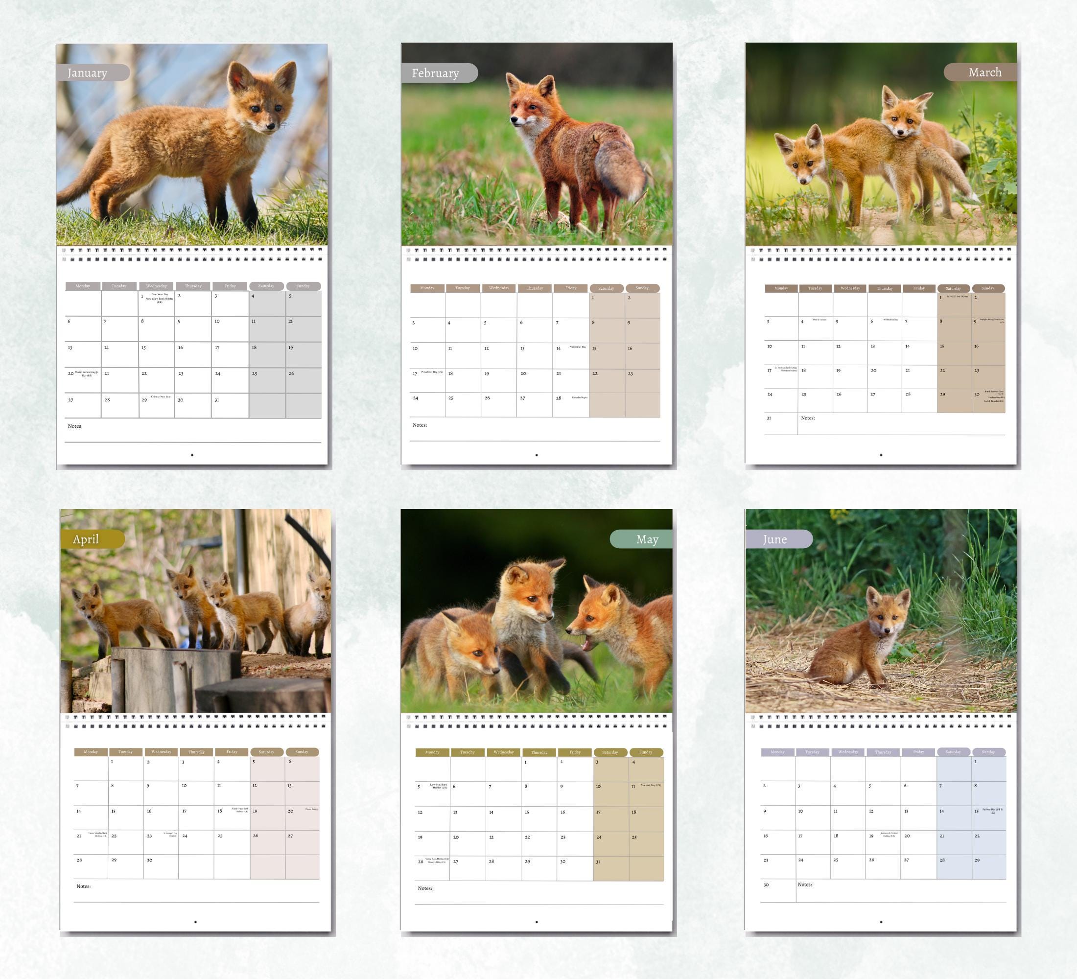 Foxes Calendar 2026: Monthly Wall Calendar With Notes, Opens to A3 Size ...