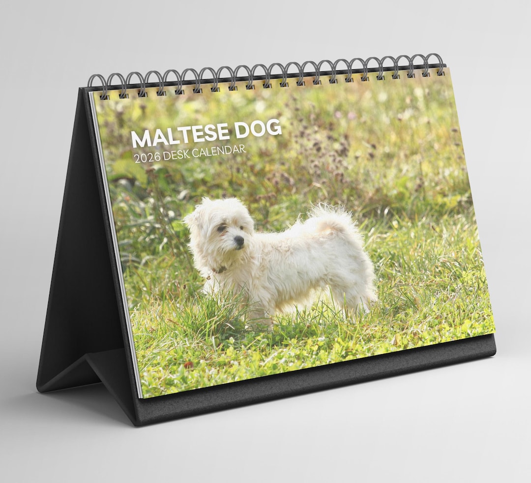 Maltese Dog Desk Calendar 2026-2027: Standing Flip Desktop Calendar ...