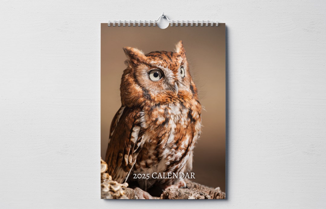 Owl Calendar 2025: Monthly Wall Calendar With Notes, Hanging A4 Size ...