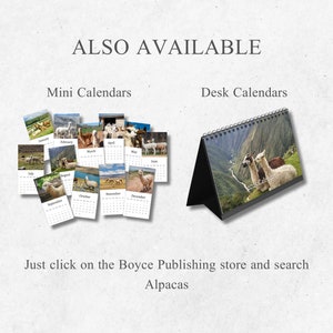 Alpacas Calendar 2025: Monthly Wall Calendar With Notes, Hanging A4 ...