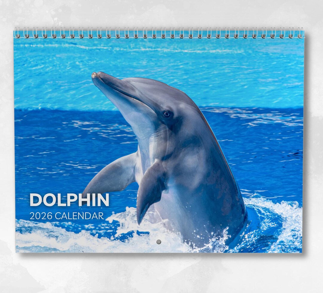 Dolphin Calendar 2026: Monthly Wall Calendar With Notes, Opens to A3 ...