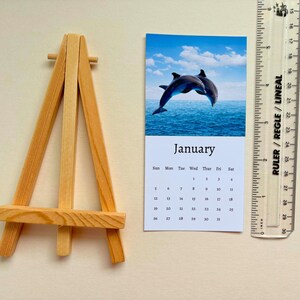 Orca Calendar 2025: Mini Desk Calendar, Orca Calendar 2025-2026 ...