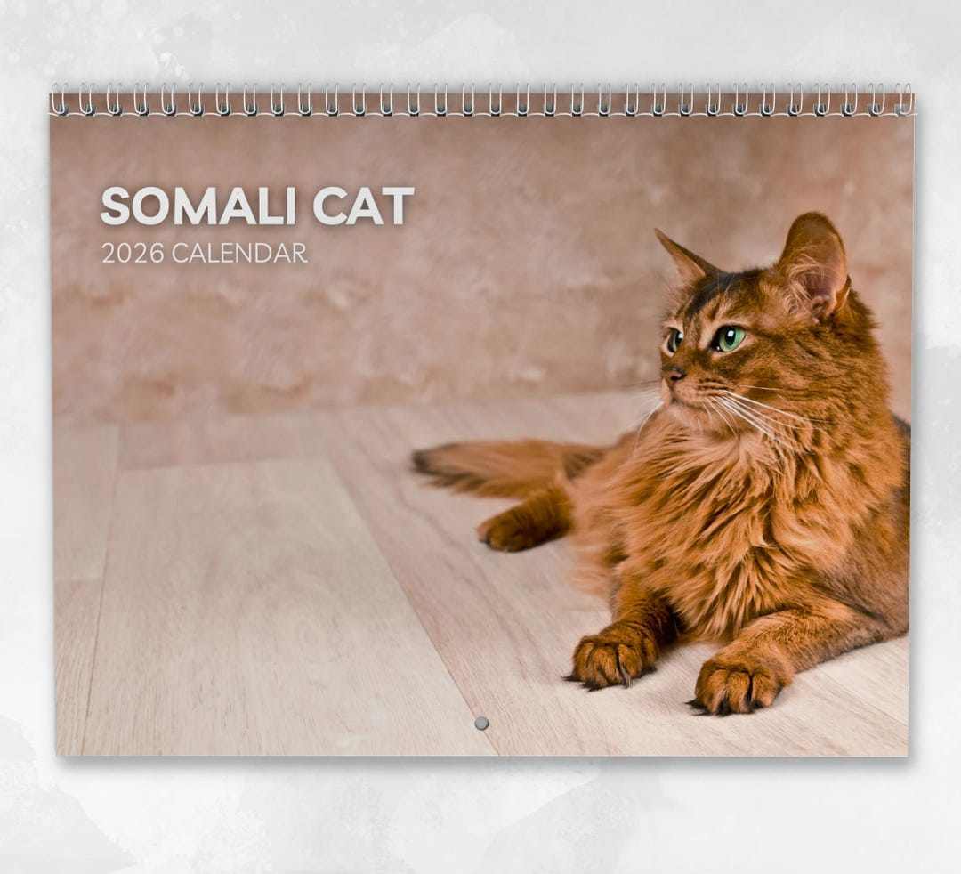 Somali Cat Calendar 2026: Monthly Wall Calendar With Notes, Opens to A3 ...