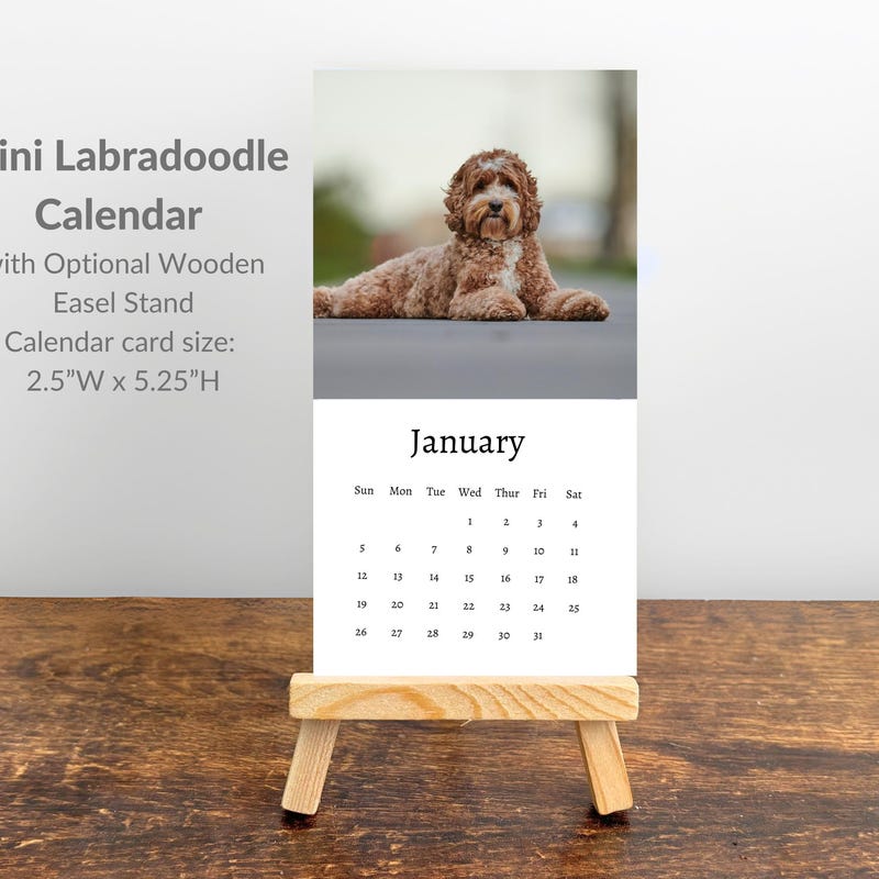Labradoodle Gifts - 60+ Gift Ideas for 2025