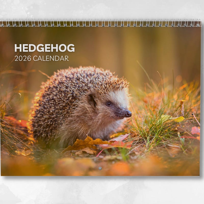 2026 Hedgehog Calendar - Etsy UK