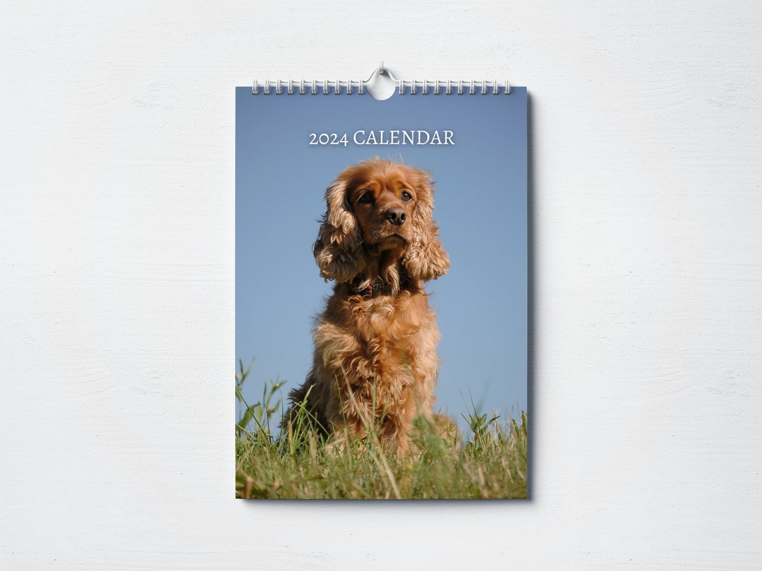 Cocker Spaniel Calendar 2024 Monthly Wall Calendar, A4 Size Hanging ...