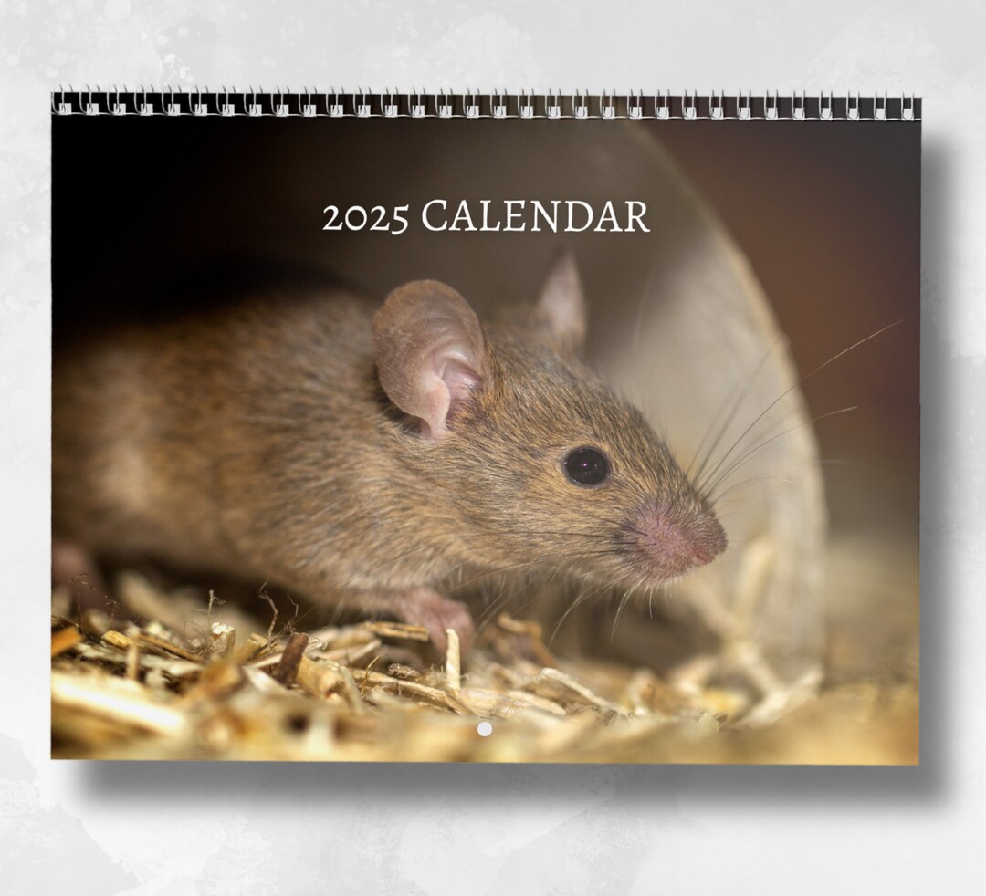Rat Calendar 2025: Monthly Wall Calendar, A4 | Hanging Calendar ...