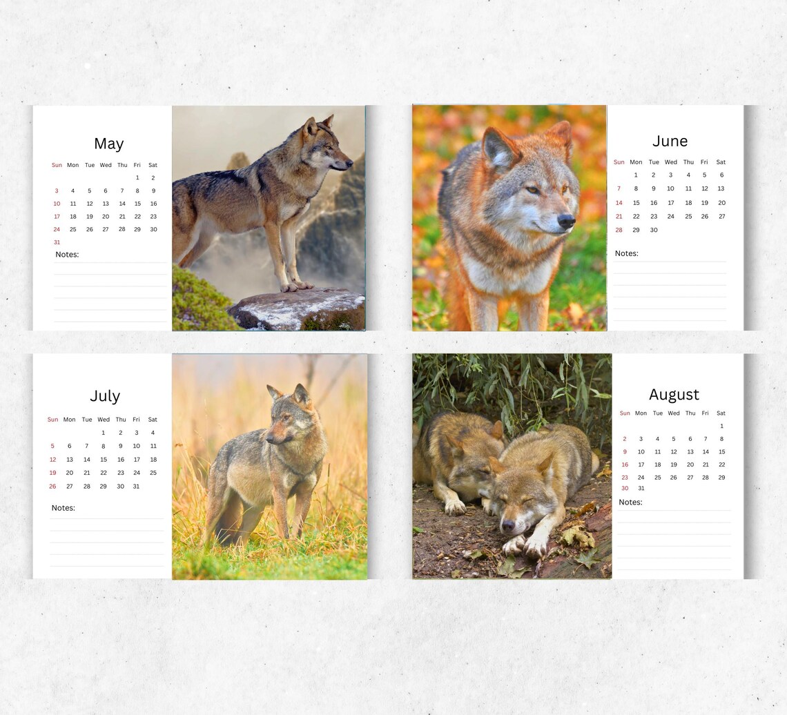 Wolf Desk Calendar 2026-2027: Standing Flip Desktop Calendar With Thick ...
