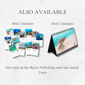 Turtle Calendar 2025: Monthly Wall Calendar With Notes, Hanging A4 Size ...