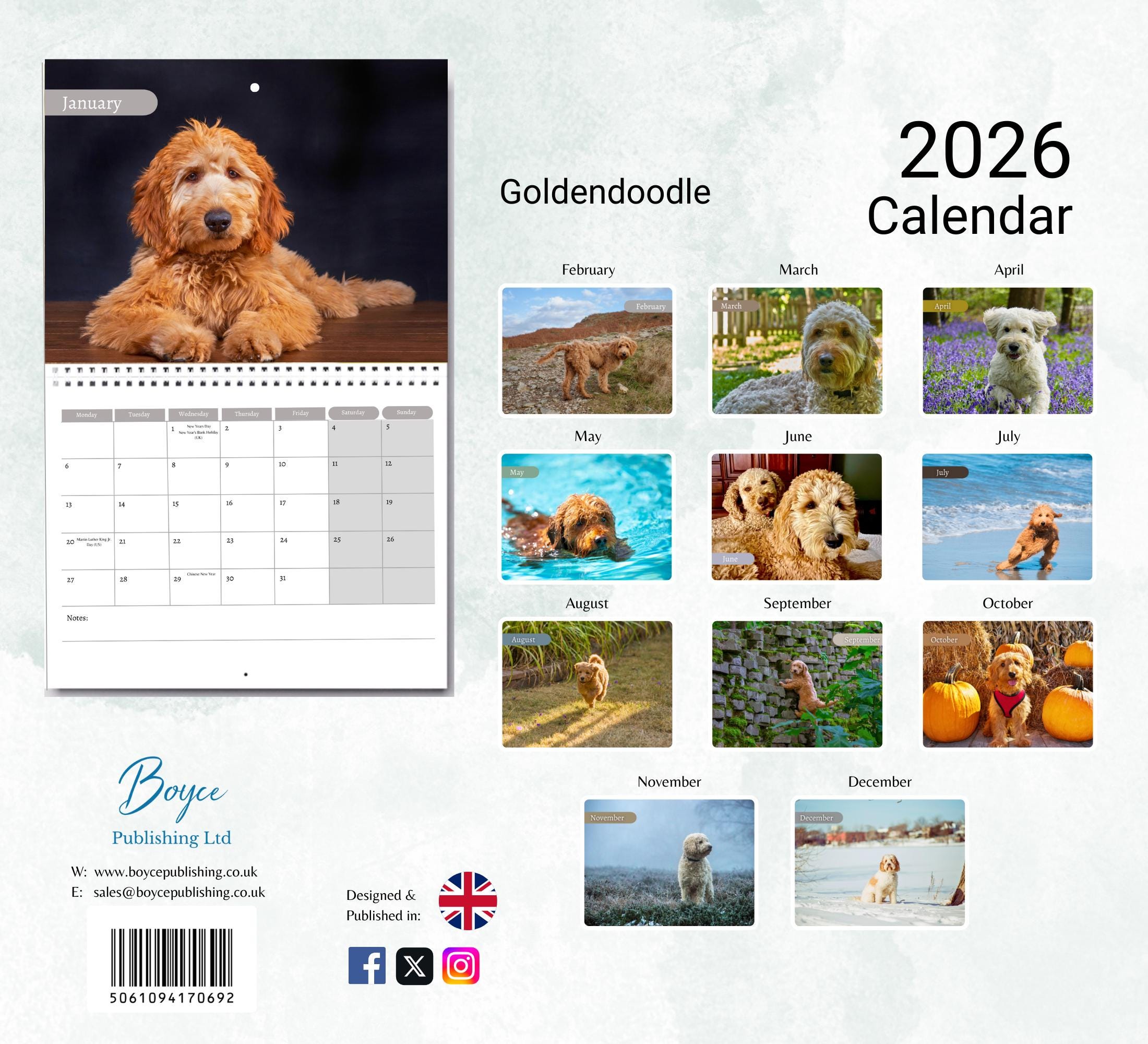 Goldendoodle Calendar 2026: Monthly Wall Calendar With Notes, Opens to ...