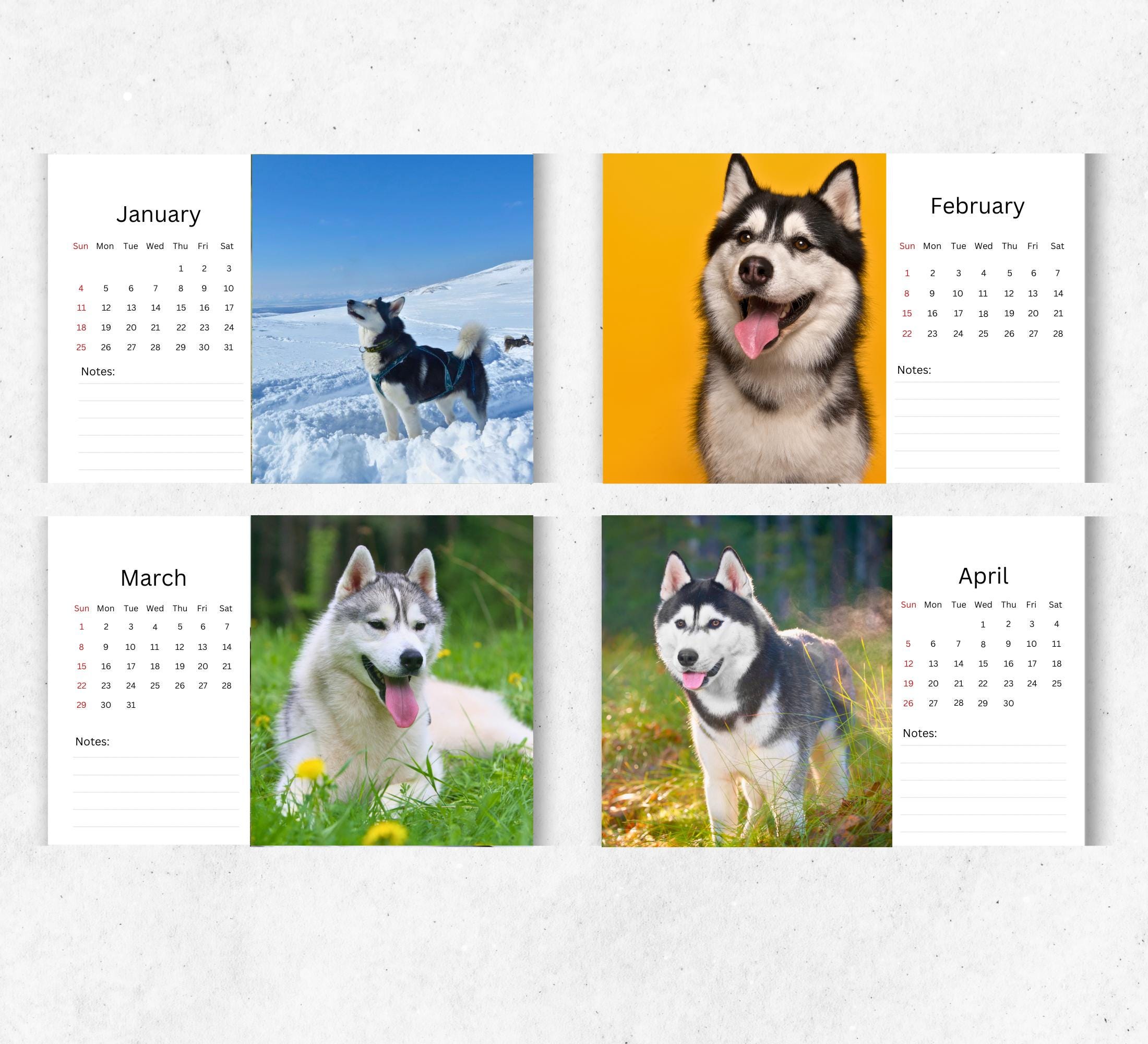 Husky Desk Calendar 2026-2027: Standing Flip Desktop Calendar With ...