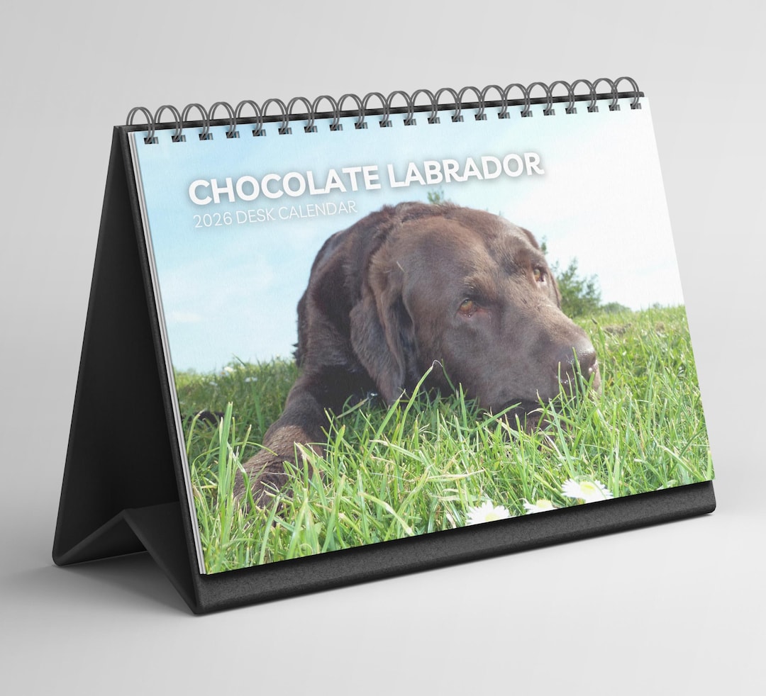 Chocolate Labrador Desk Calendar 2026-2027: Standing Flip Desktop ...