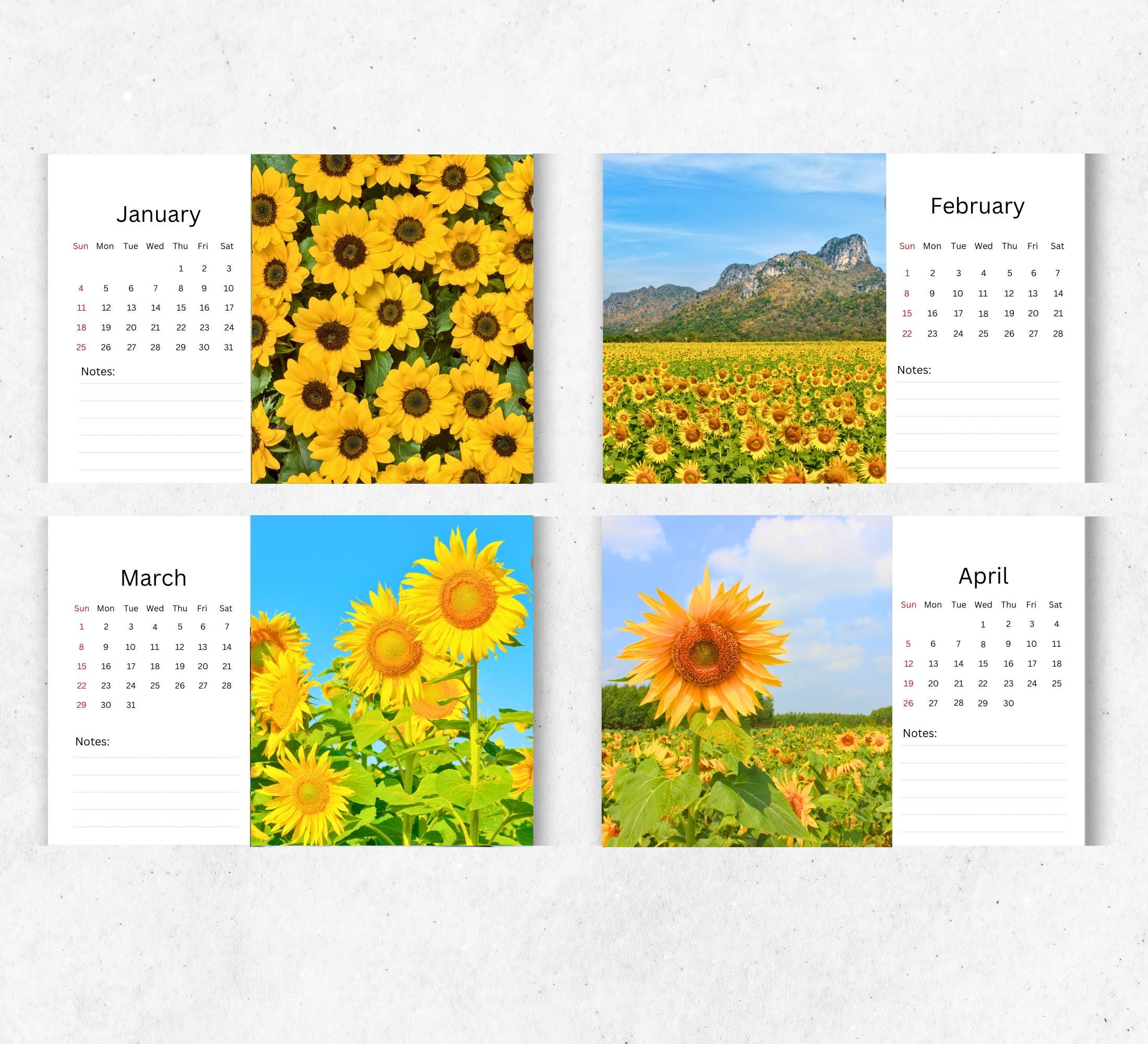 Sunflowers Desk Calendar 2026-2027: Standing Flip Desktop Calendar With ...