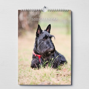 Scottish Terrier Calendar 2025: Monthly Wall Calendar With Notes ...