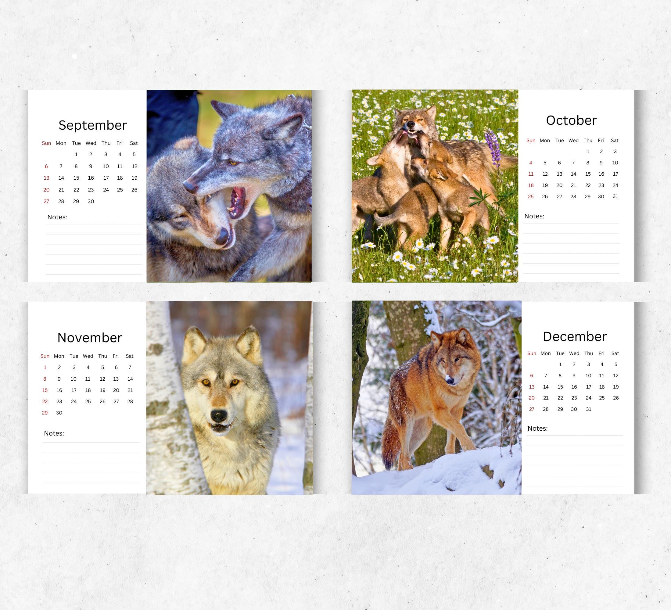Wolf Desk Calendar 2026-2027: Standing Flip Desktop Calendar With Thick ...