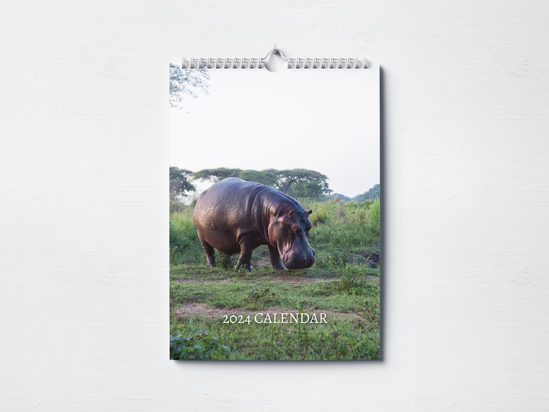 Hippo Calendar 2024 Monthly Wall Calendar, A4 Hanging Calendar Perfect ...