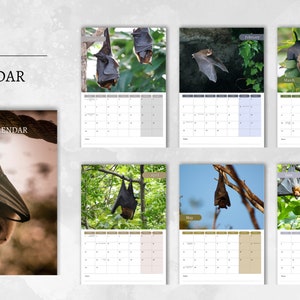 Bat Calendar 2024 Monthly Wall Calendar, A4 Size Hanging Calendar ...
