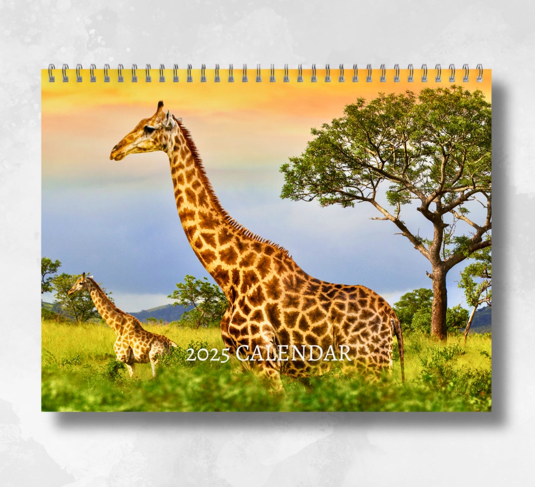 Giraffe Calendar 2025: Monthly Wall Calendar With Notes, Opens to A3 ...