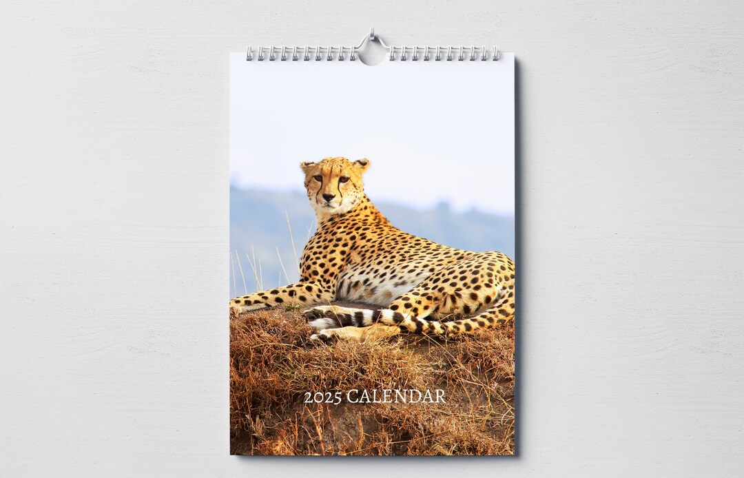 Cheetah Calendar 2025: Monthly Wall Calendar With Notes, Hanging A4 ...