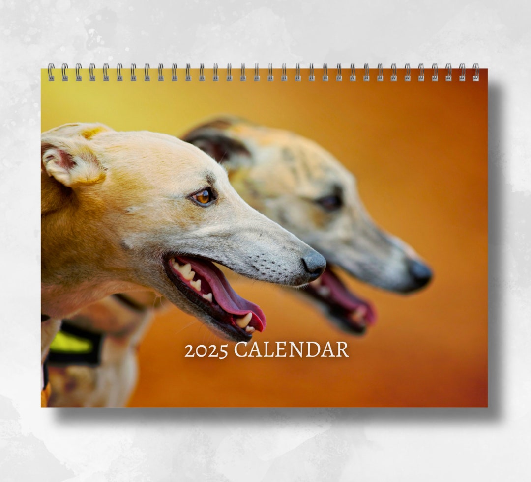 Greyhound Calendar 2025: Monthly Wall Calendar With Notes, Opens to A3 ...