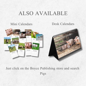 Pigs Calendar 2025: Monthly Wall Calendar With Notes, Opens to A3 Size ...