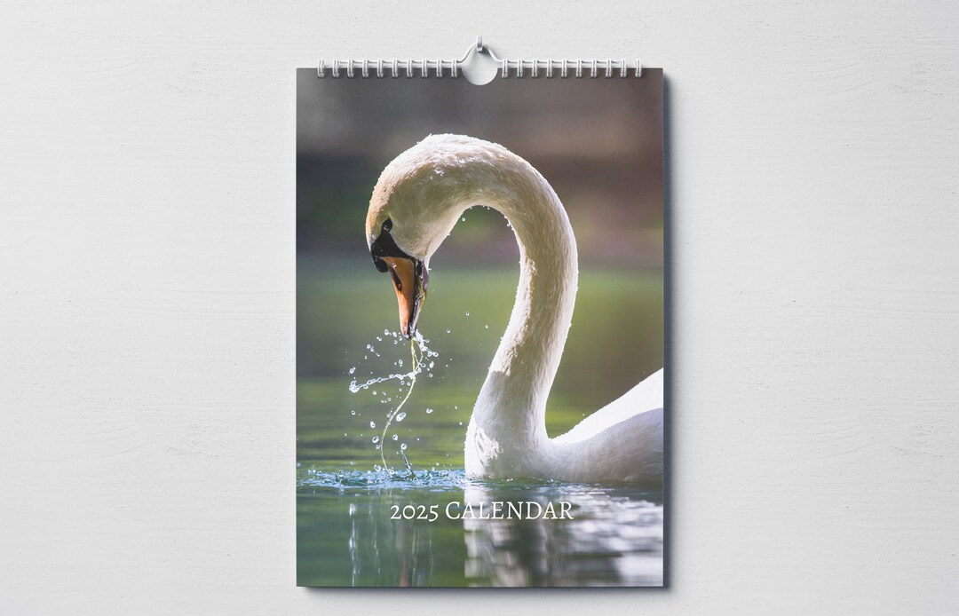 Swan Calendar 2025: Monthly Wall Calendar With Notes, Hanging A4 Size ...