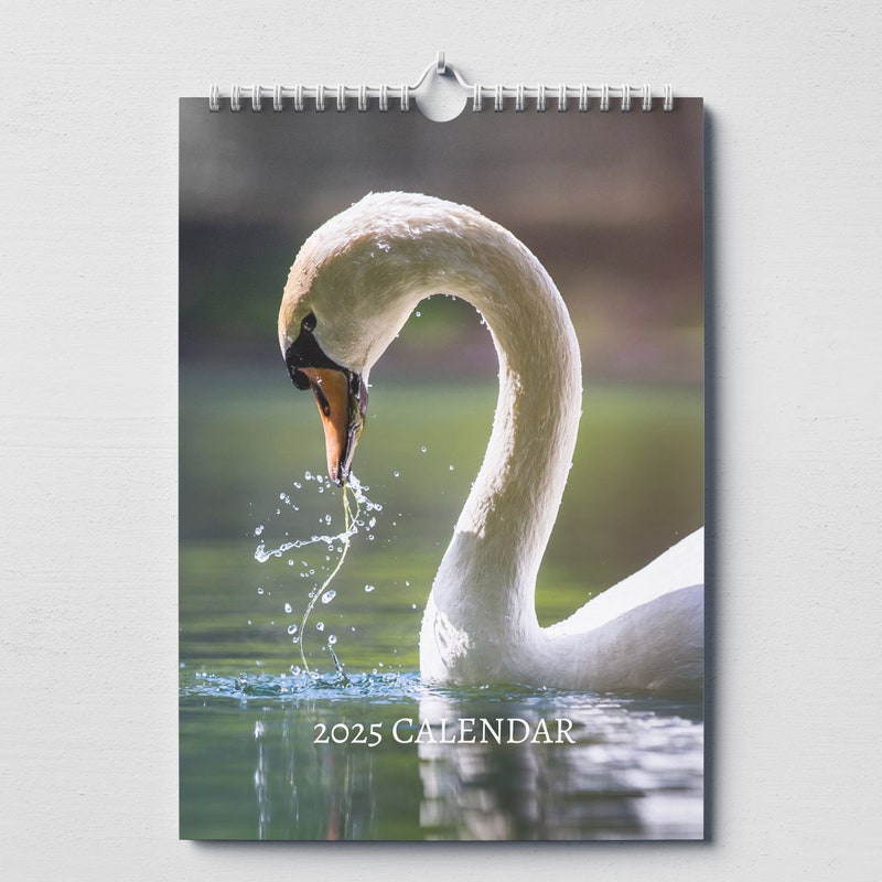 Swan Party Decor - Etsy