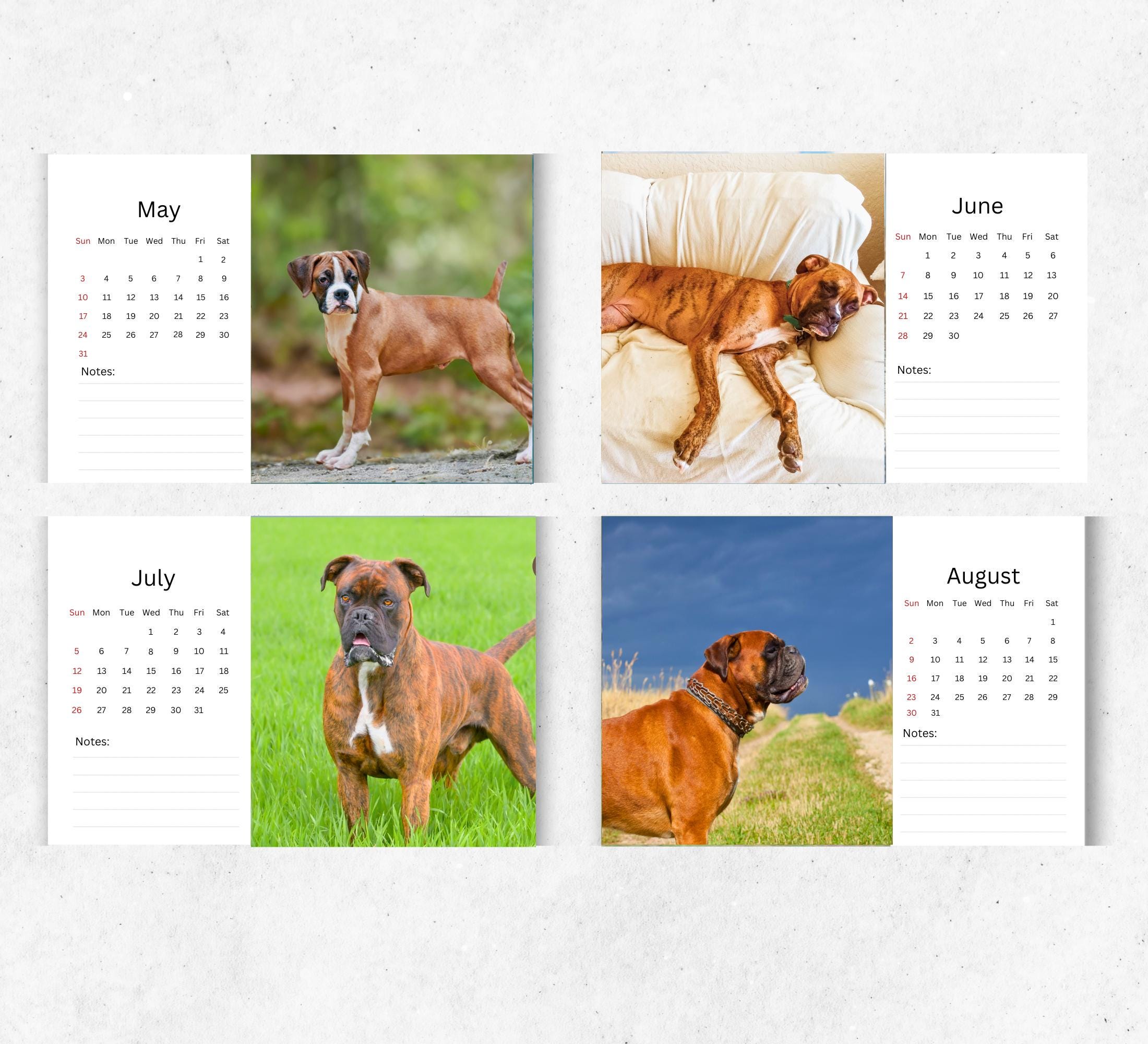 Boxer Dog Desk Calendar 2026-2027: Standing Flip Desktop Calendar With ...