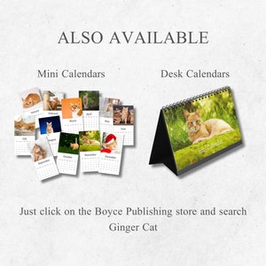 Ginger Cat Calendar 2025: Monthly Wall Calendar With Notes, Hanging A4 ...