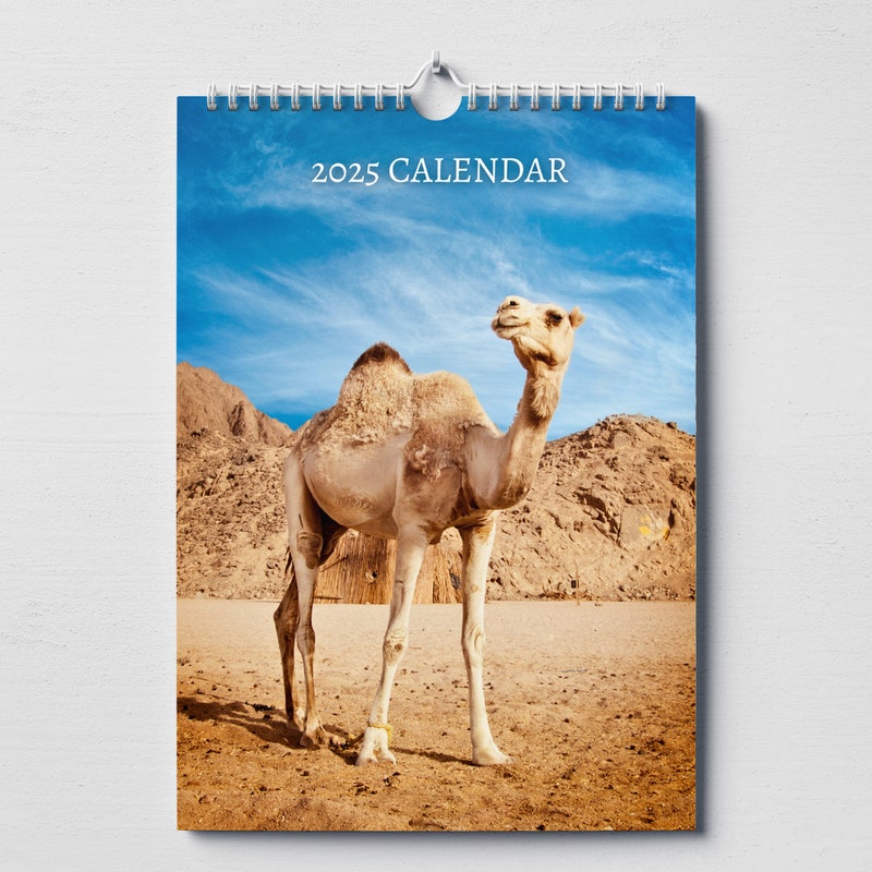 Camel - Etsy