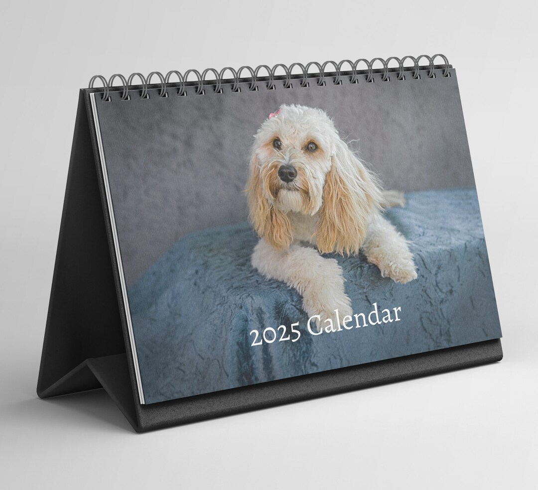 Cavapoo Desk Calendar 2025-2026: Standing Flip Desktop Calendar With ...