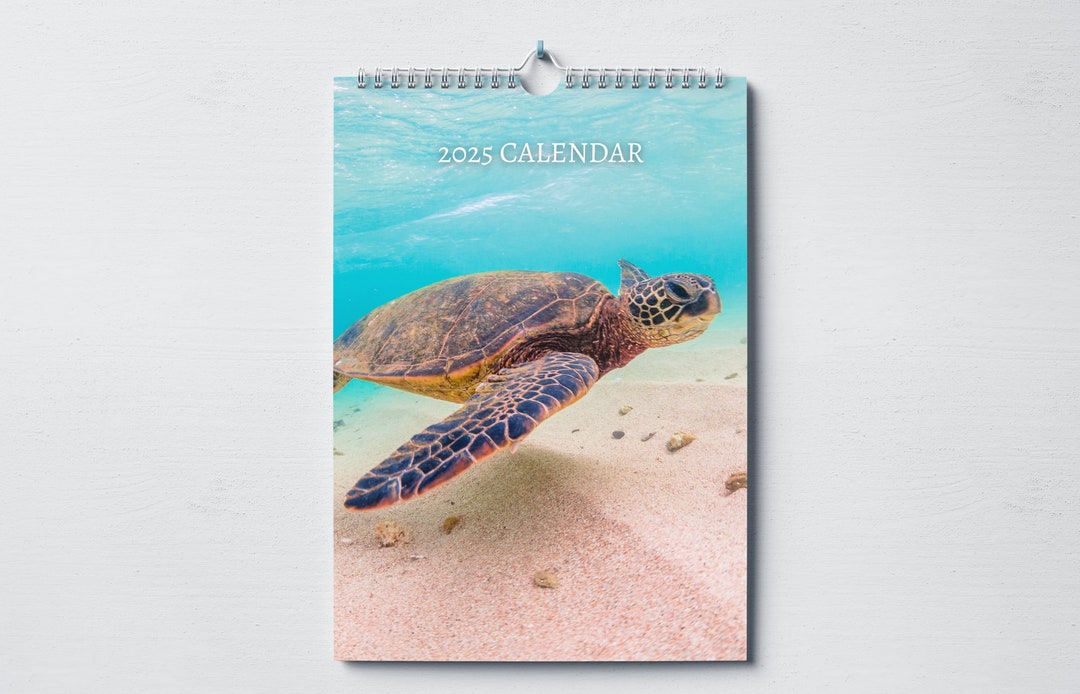 Turtle Calendar 2025: Monthly Wall Calendar With Notes, Hanging A4 Size ...